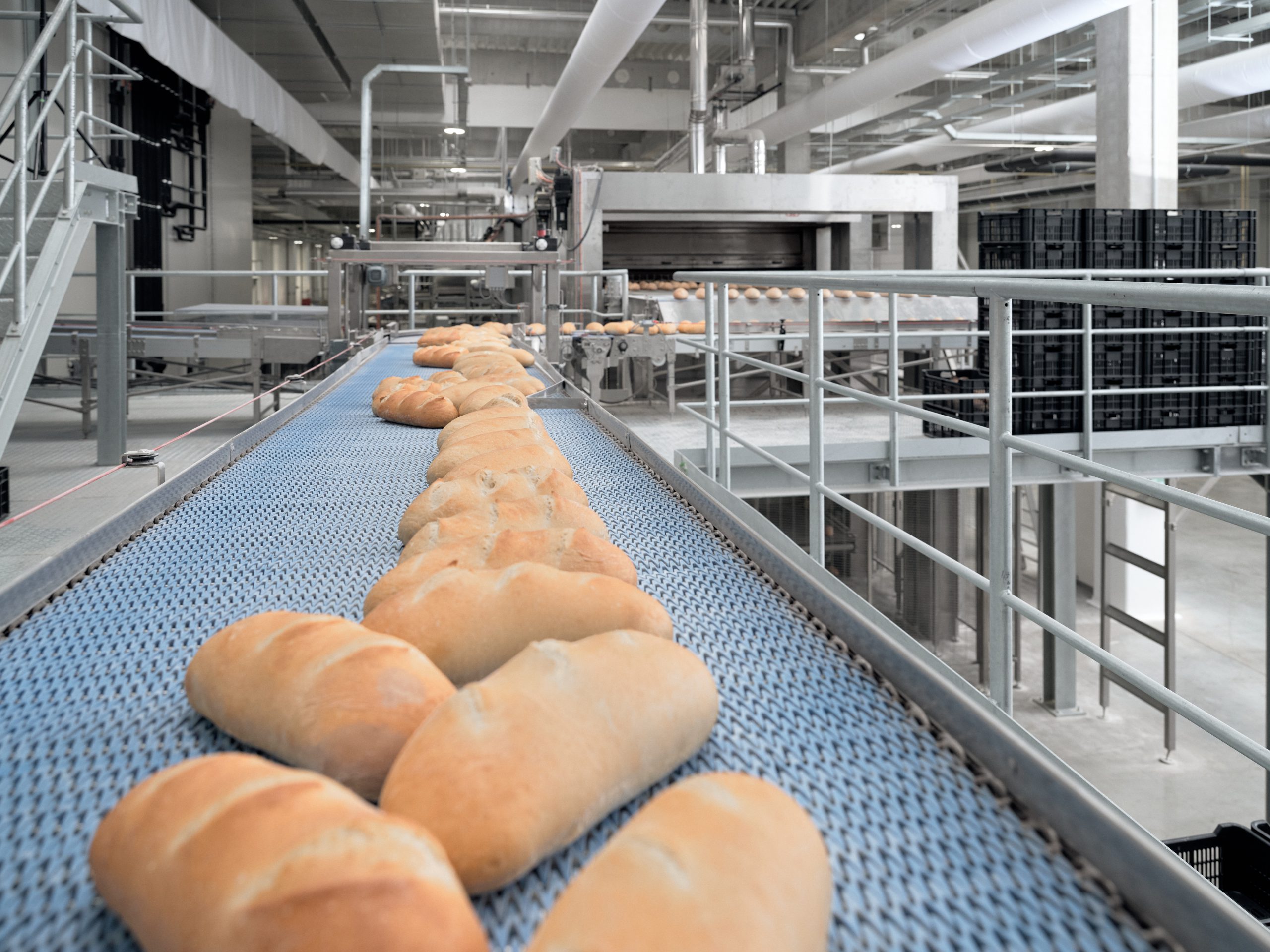 TP FOOD GROUP - Paragon Partners